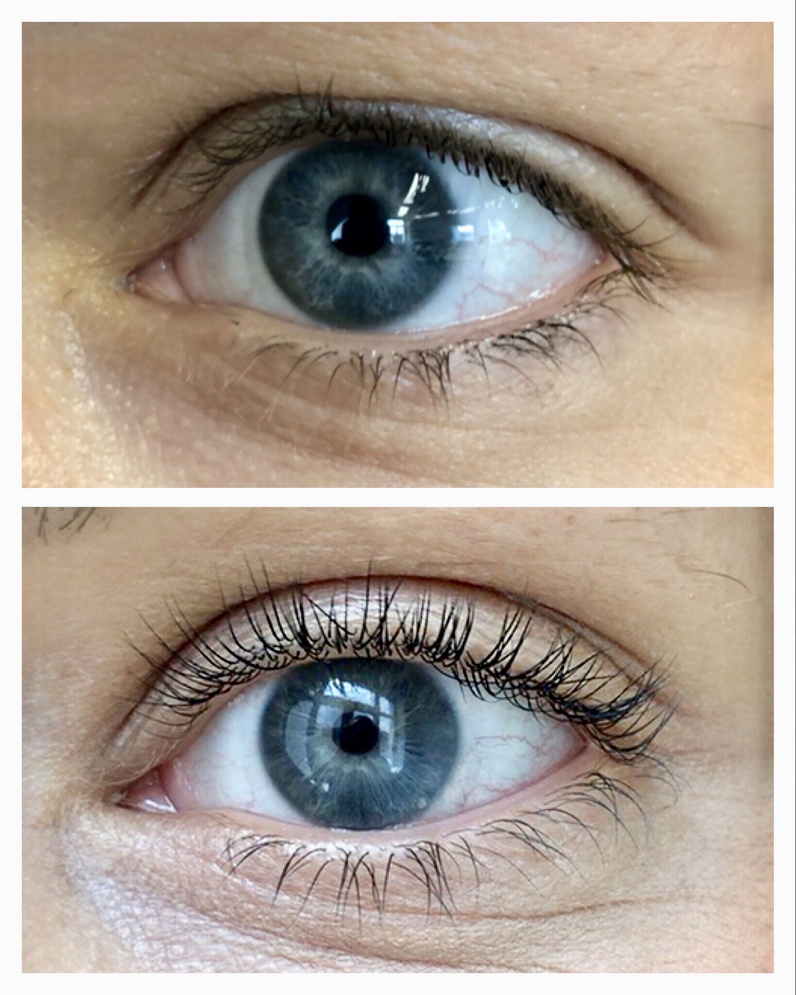 RefectoCil Eyelash Lift Kit | SalonCentric