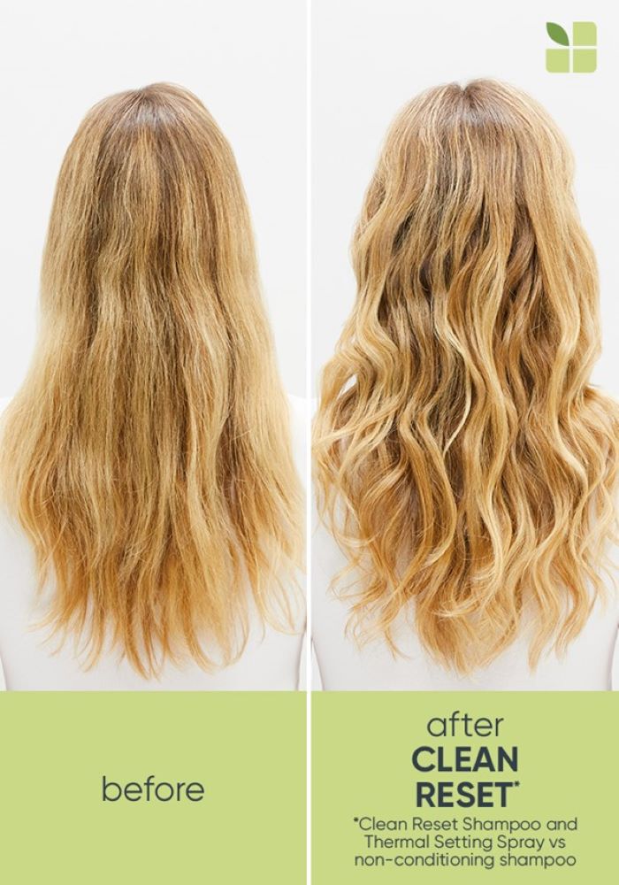 Biolage Clean Reset Normalizing Shampoo | SalonCentric