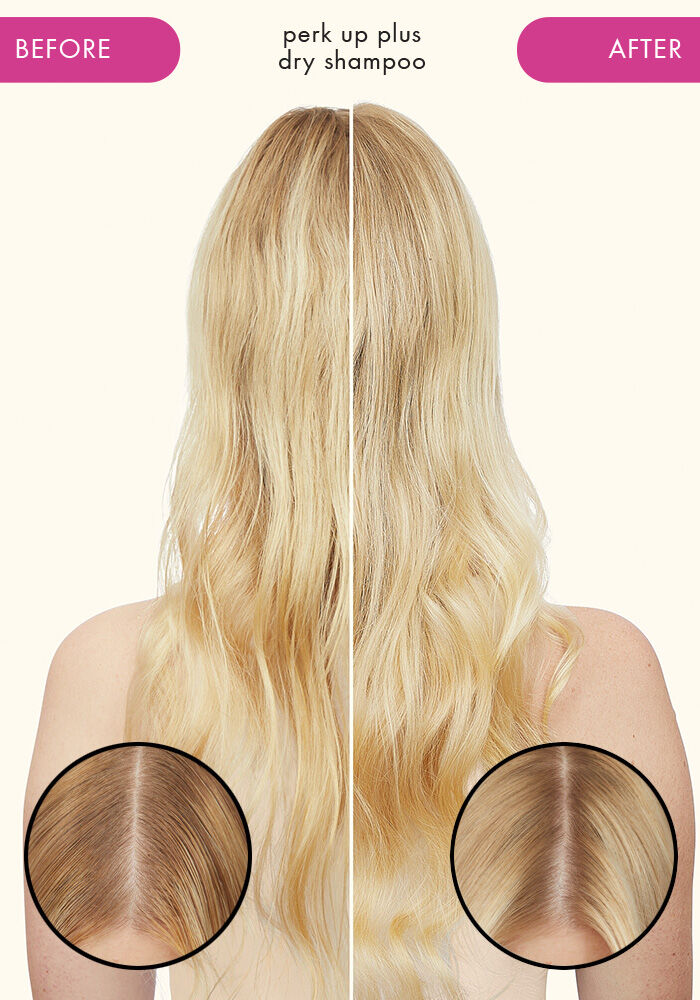 amika Perk Up Plus Extended Clean Dry Shampoo | SalonCentric