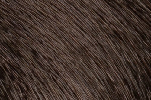 Pulp Riot Faction8 Permanent Haircolor 2 oz. | SalonCentric