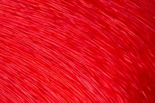 Pulp Riot Faction8 Permanent Haircolor 2 oz. | SalonCentric