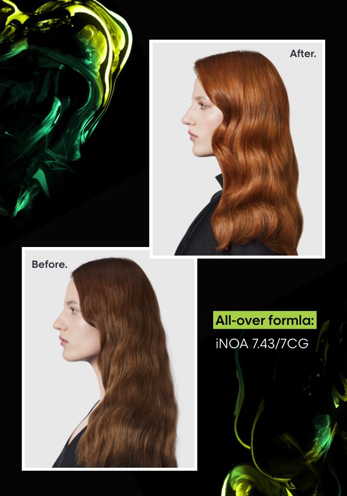 L'Oréal Professionnel iNOA + Framar Stylist Kit