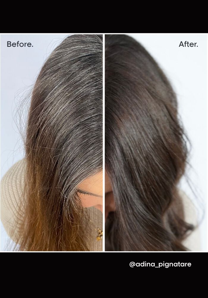 L'Oréal Professionnel NEW! iNOA No Ammonia Permanent Haircolor ...